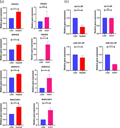 The Verification Of Qpcr Results Of Target Gene Download Scientific
