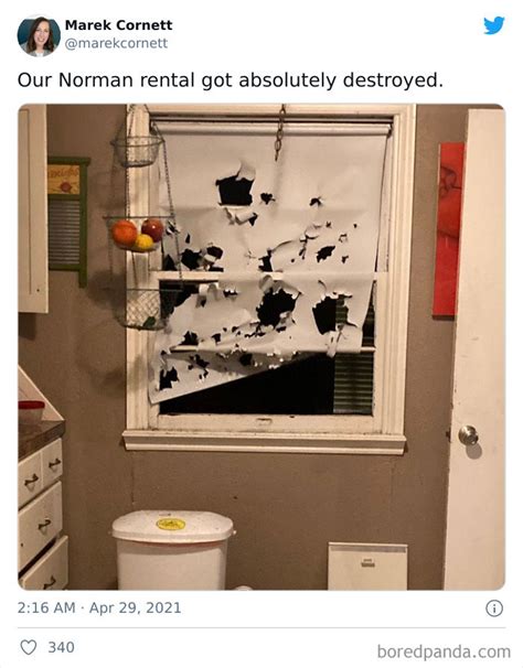 The Gorilla Hail In Texas And Oklahoma In Pictures Bored Panda