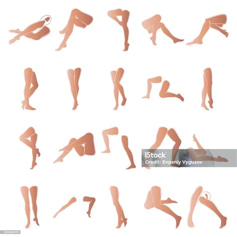 페디큐어와 여성 다리 흰색 배경에 고립 된 아름다운 여자 다리의 벡터 세트 0명에 대한 스톡 벡터 아트 및 기타 이미지 0명 개체 그룹 깨끗한 Istock