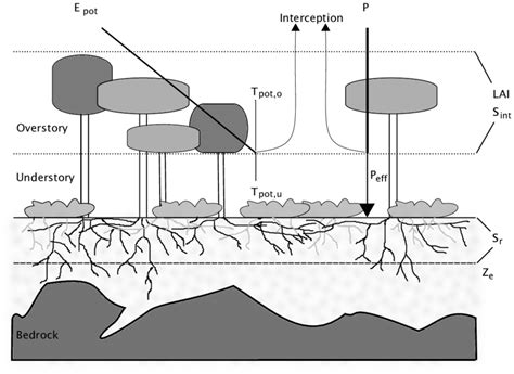 Schematic Representation Of A Forest Stand Together With The Download Scientific Diagram