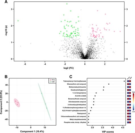 Gut Metabolomics For Quantification Of Metabolites Based On Positive