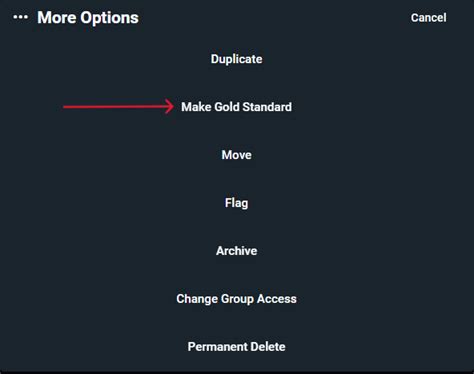 Gold Standards Hudu Support