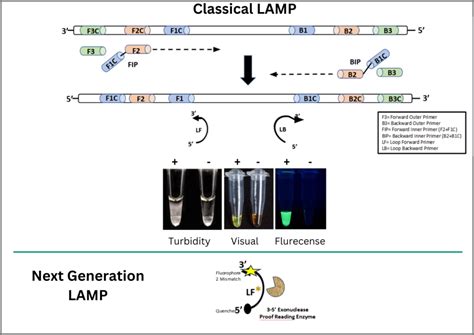 Next Generation Lamp Omniprep Opc Private Limited