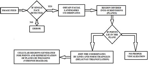 Machnease —delaunay Triangulation And Voronoi Diagram Using Facial Landmarks By Namitha
