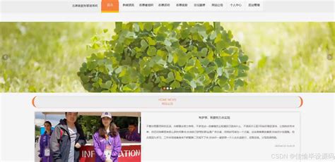 springboot毕设 志愿者服务管理系统 程序 论文 csdn博客