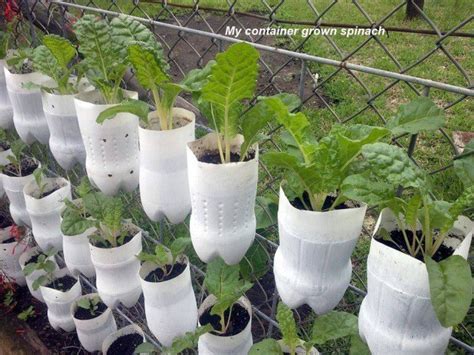 How To Make A Plastic Bottle Garden Diy Gardening Projects Revive Garden