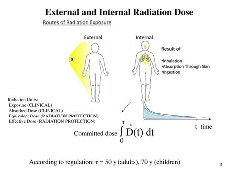 Semmelweis University Faculty Of Dentistry Budapest Studium Radiation Protection
