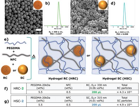 A Scanning Electron Microscopy Sem Image Of Rough‐surfaced Download Scientific Diagram