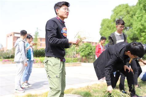 建筑与城市规划学院组织学生开展公益除草活动 建筑与城市规划学院