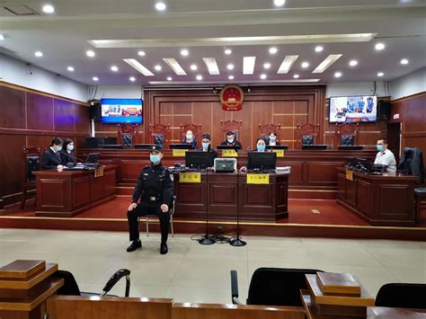 大安法院召开电信网络诈骗犯罪案件新闻发布会澎湃号·政务澎湃新闻 The Paper