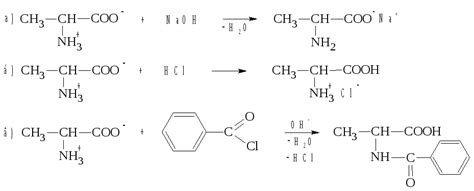 Качественные реакции на аминокислоты пептиды и белки
