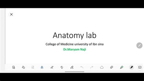 Practical Anatomy Lab 3 التشريح العملي المختبر الثالث Youtube