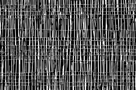 Ilustración Vectorial De Textura De Fondo Negro Y Blanco Textura Negra