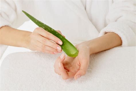 Beneficios Del Aloe Vera Que Debes Saber