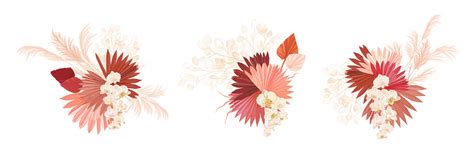 수채화 건조 꽃 벡터 세트세트 팜파스 잔디 말린 야자수 잎 난초 달니아 꽃 일러스트 웨딩 초대장 모던 한 장식 보헤미안 여름 프레임에 대한 꽃 디자인 요소 0명에 대한 스톡