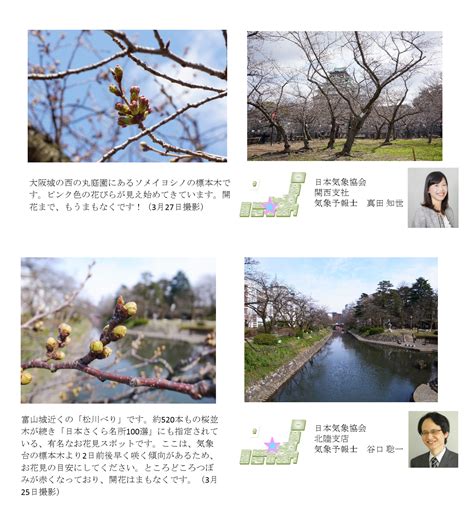 2017年桜開花予想（第6回） ～九州、四国の開花は遅く、西日本のお花見は来週末がおすすめ～ Jwaニュース 日本気象協会