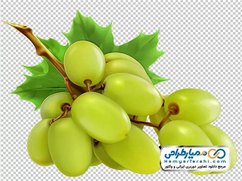 دانلود تصویر با کیفیت انگور 11241421