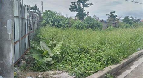 Firewall Inside Gutter Detail [20 316 Properties] August 2024 On