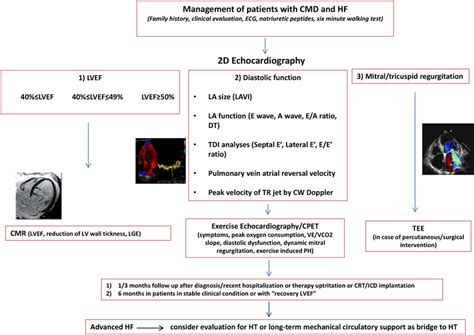 The Diagram Describes The Management Of Patients With Dilated