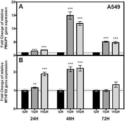 Gene Expression Of Pmaip1 And Mthfd2 In A549 Cells After Pemetrexed