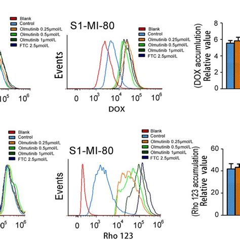 Effect Of Olmutinib On The Intracellular Accumulation Of Dox Rho 123