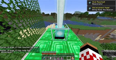 I Beat The Wither For The First Time R Minecraft