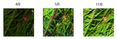 【精选】2021遥感应用组二等奖：基于多源遥感数据的武夷山毛竹林提取研究及扩张特征分析 竹林的光谱指数 Jgiser的博客 Csdn博客