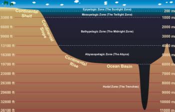 Layers Of The Ocean Physical Geography