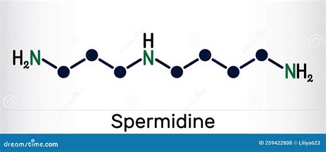 Spermidine Molecule Molecular Structures Polyamine 3d Model Structural Chemical Formula And