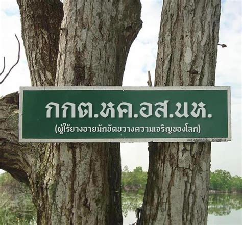 ᗰⓎᗷʟɪss ☔️ On Twitter ต้นไม้ต้นนี้ชื่ออะไรหรอ นายกพิธา กกตมีไว้