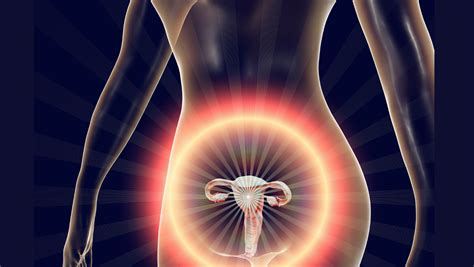 Endometrial Receptivity And Fertility What S It All About Embrace