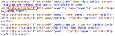 Vue Meta와 Meta Tag