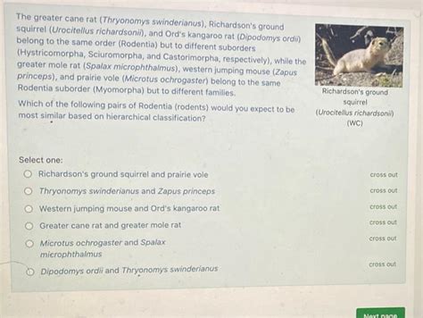 Solved The Greater Cane Rat Thryonomys Swinderianus