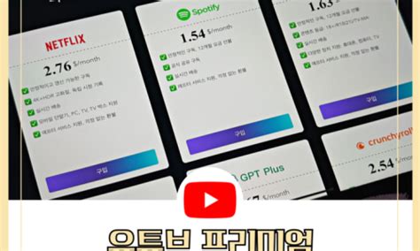 유튜브 프리미엄 인도아르헨티나 결제수단 업데이트 Vpn없이 우회 결제방법애플 기프트카드 네이버 블로그
