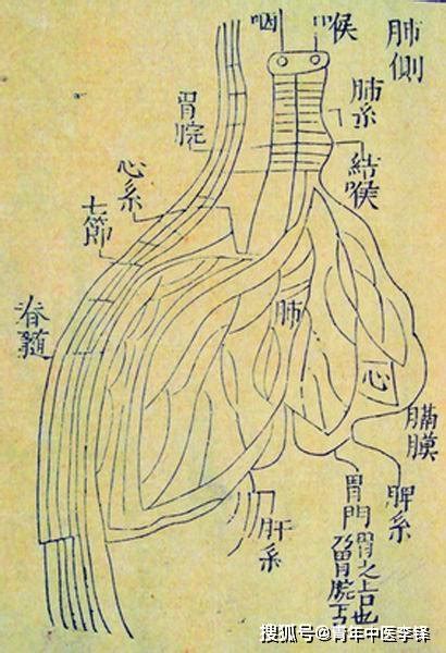 为何说宋代的解剖学对后世影响极具深远 欧希范