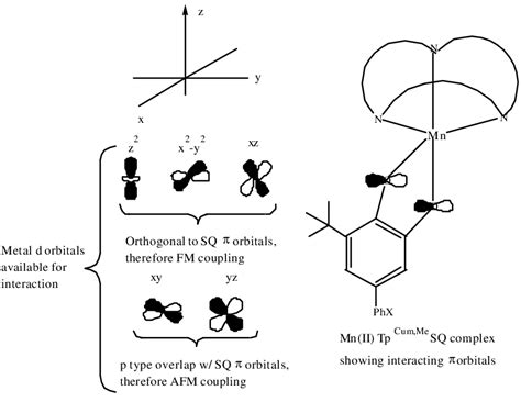 11 Antiferromagnetic Coupling Of A Metal And Delocalized Ligand π