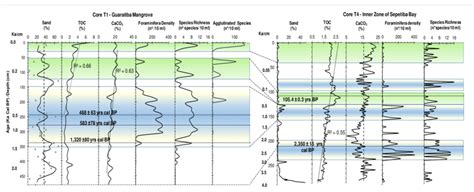 Depth Plot Of The Percentage Of Sand Fraction Toc Caco3 Download Scientific