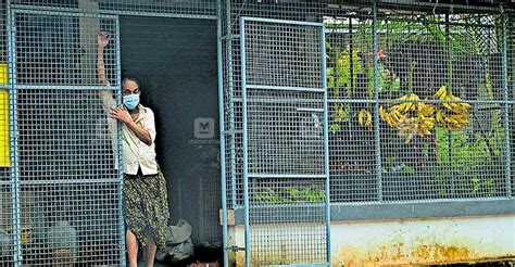 Nipah In Kozhikode Contact List Expands To 702 Route Map Of Both