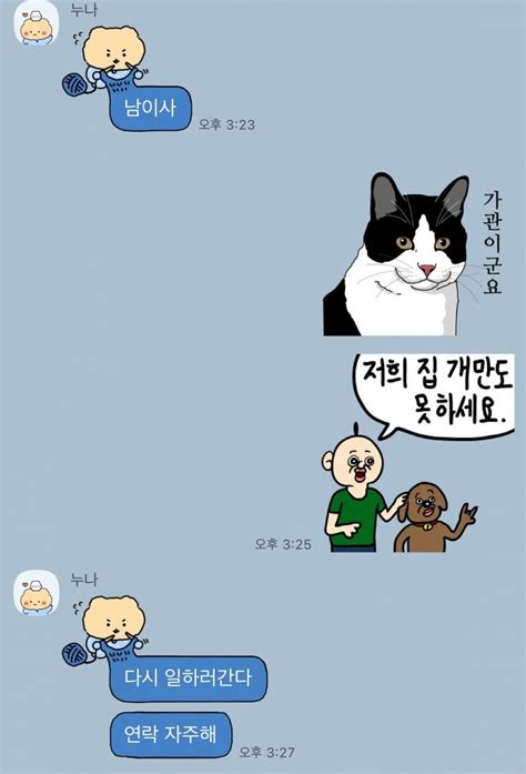 펌 동덕여대 졸업한 누나 카톡 ㅋㅋㅋ 유머 움짤 이슈 에펨코리아