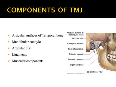 Temporo Mandibular Joint Ppt