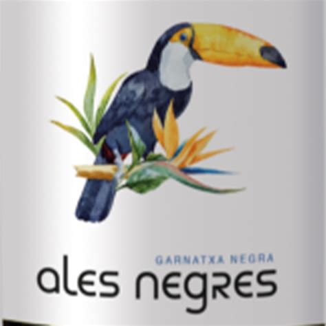 Do Catalunya Rouge Ales Negres 2019 Terra Remota 75cl Sommelier