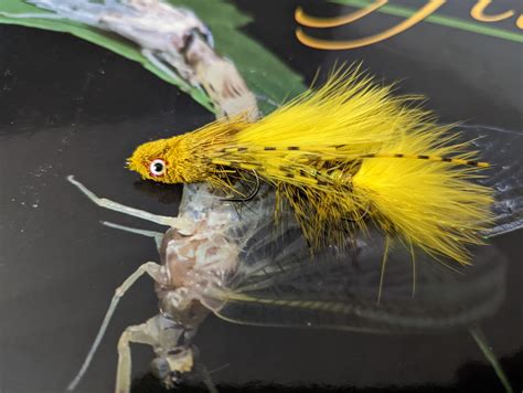 First Attempt At The Sex Dungeon Rflytying