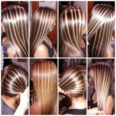 Zebra Highlights Hair At Donald Edwards Blog