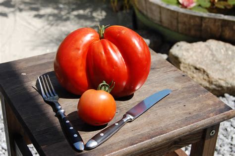 1000 Images About Vegetables And Fruits Giant On Pinterest