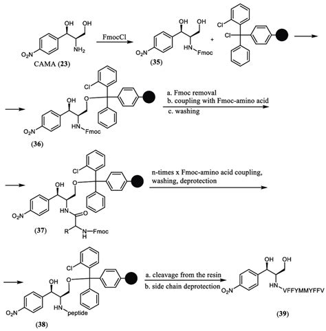 Scheme 6 Synthesis Of Decapeptide Chloramphenicol Analog Download