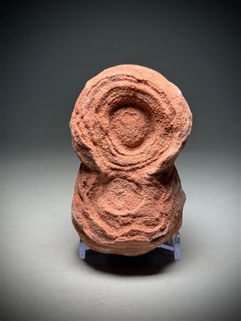 Oldest Fossil On Earth Dated ~1 1 Billion Years Old Fossil Matrix