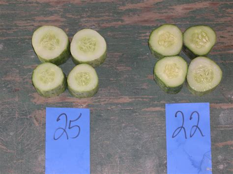 Cucumber Breeding Cucurbit Breeding