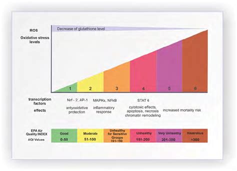 Levels Of Oxidative Stress Biomarkers In Epithelial Cells And Their