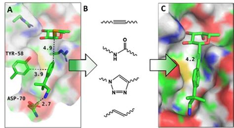 Ligand Design Strategy A Example Of A Fragment Screening Hit B Download Scientific