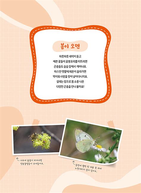 알라딘 중고 봄ㆍ여름ㆍ가을ㆍ겨울 곤충도감